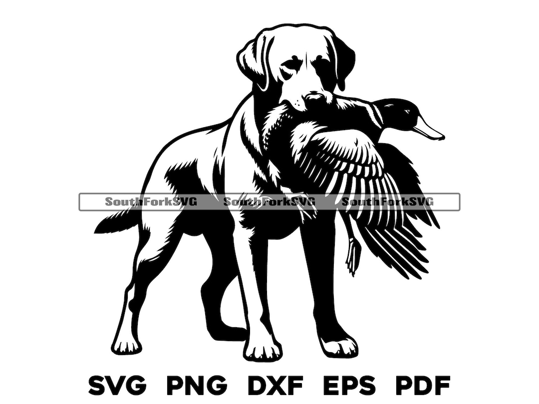 Labrador Retriever Bird Dog With Duck Svg Png Dxf Eps Pdf | Vector ...