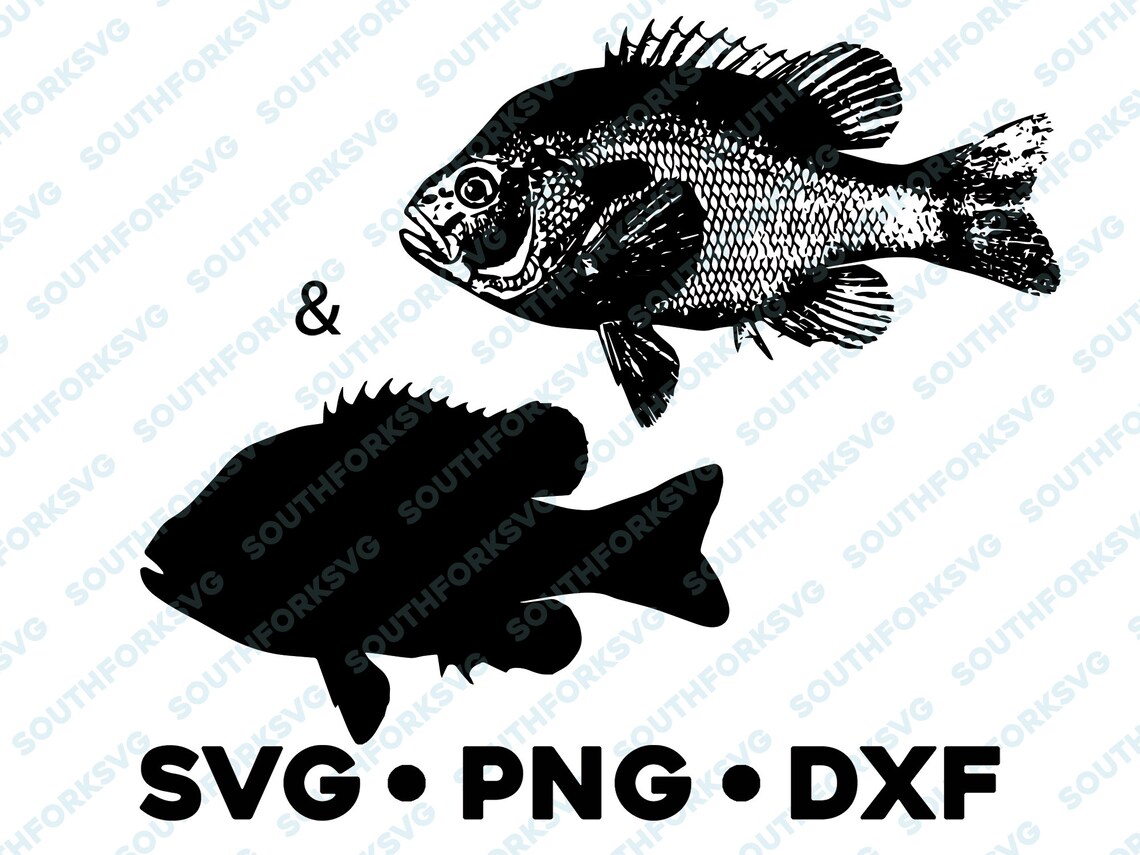 Long Ear Bluegill Panfish Sunfish SVG PNG DXF Vector - Etsy