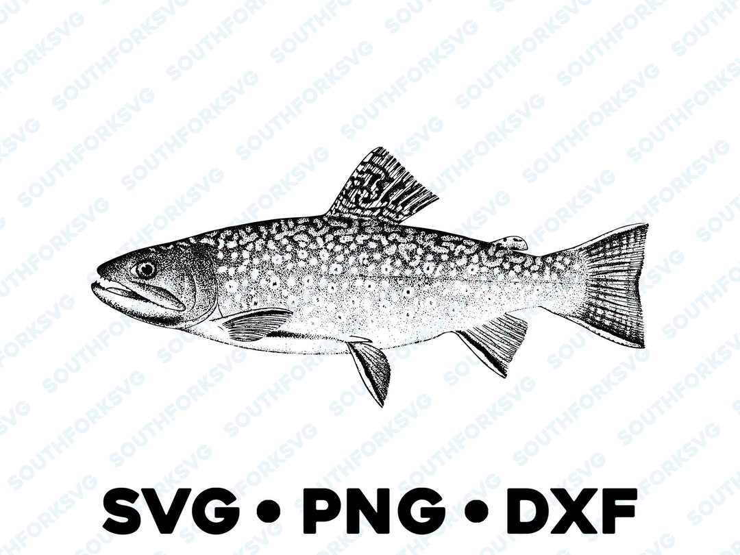 Brook Trout SVG PNG DXF Rainbow Brown Salmon Transparent Vector Graphic ...