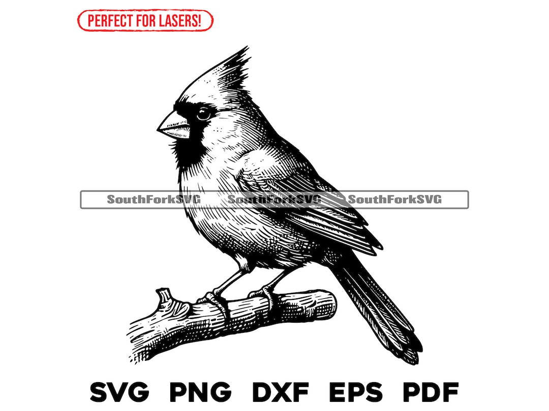 Cardinal Bird Laser Engrave Files Svg Png Dxf Eps Pdf Vector Graphic ...