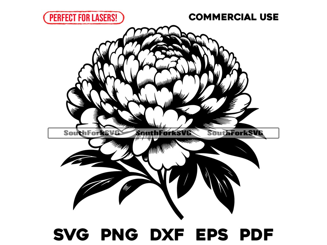 Peony Flower Floral Design Svg Png Dxf Eps Pdf | Vector Graphic Cut ...