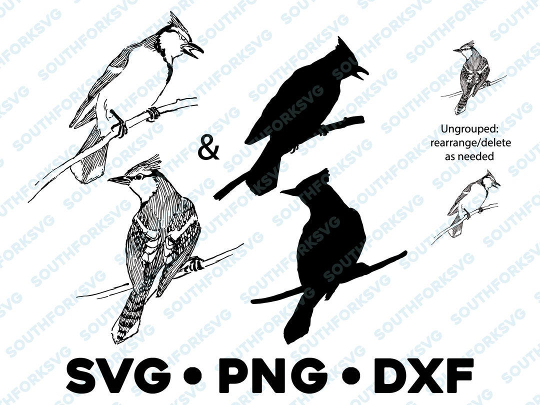 Blue Jay Birds SVG PNG DXF Cut File for Silhouette Image Robin Sparrow ...