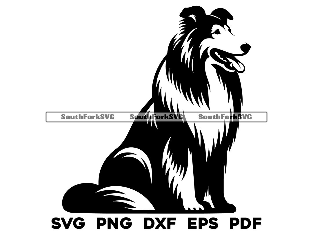 Collie Dog Sitting Design | Svg Png Dxf Eps Pdf | Vector Graphic Cut ...
