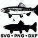 Cutthroat Golden Trout Rainbow SVG PNG DXF Transparent Vector Graphic ...
