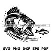 Redfish Red Fish Spot Red Drum SVG PNG DXF Vector Transparent Cameo ...