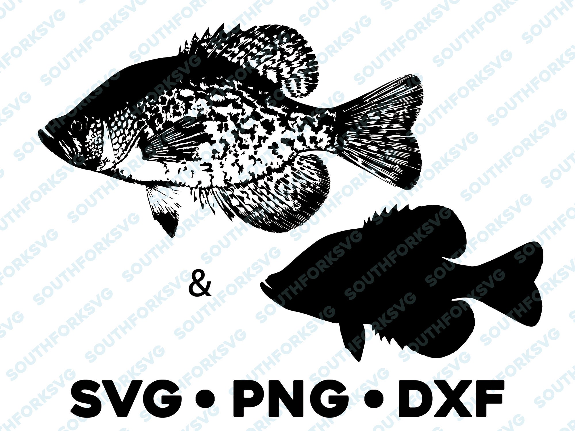 Crappie White Black Bass Sunfish SVG PNG DXF Vector Transparent Cameo ...