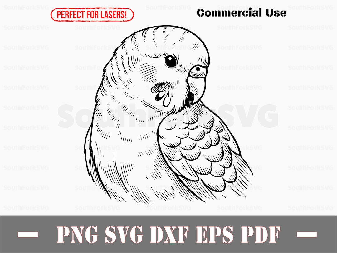 Parakeet Bird Design | Svg Png Dxf Eps Pdf | Vector Graphic Cut File ...