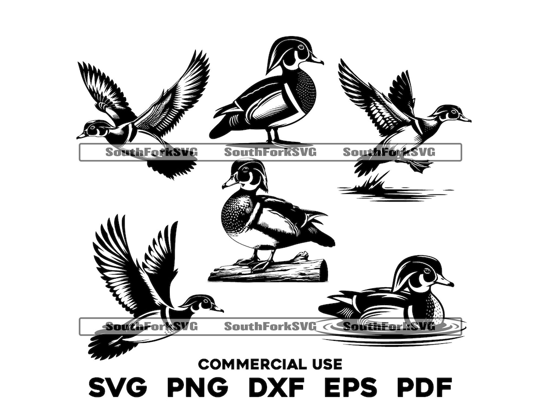 Wood Duck Bundle Pack Svg Png Dxf Eps Pdf | Vector Graphic Design Cut ...