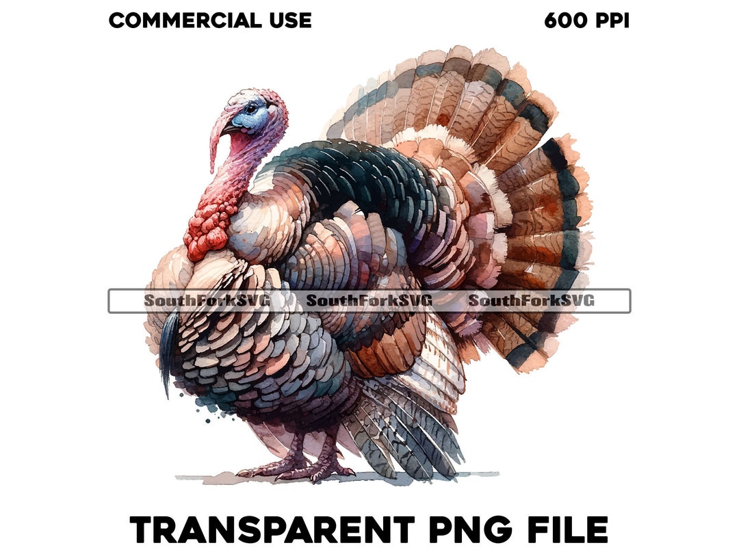 Wild Turkey PNG File | Transparent High Res for Print Dye Sub Etc ...