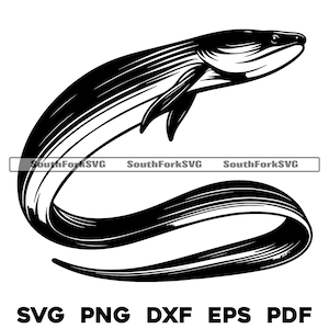 Freshwater Eel Design | Svg Png Dxf Eps Pdf Transparent Vector Graphic ...