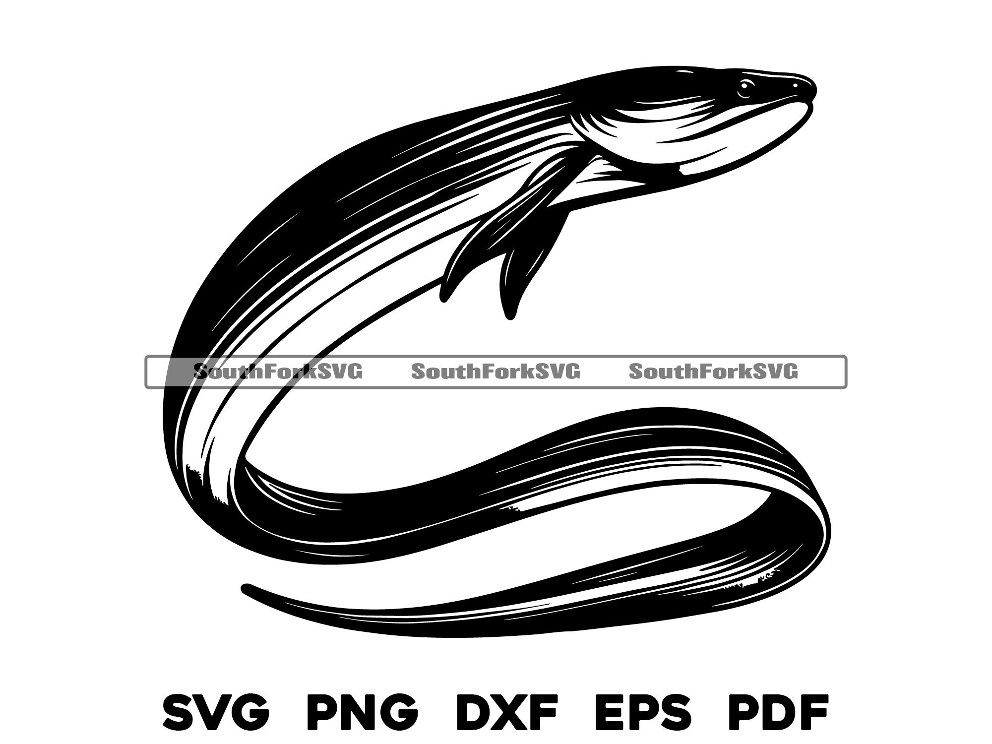 Freshwater Eel Design | Svg Png Dxf Eps Pdf Transparent Vector Graphic ...