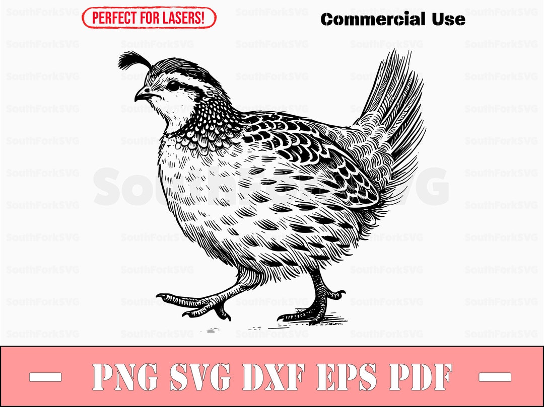 Quail Svg Png Dxf Eps Pdf Vector Graphic Design Cut Print Dye Sub Laser ...