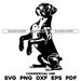 Boxer Dog Begging Svg Png Dxf Eps Pdf | Vector Graphic Cut File Laser ...