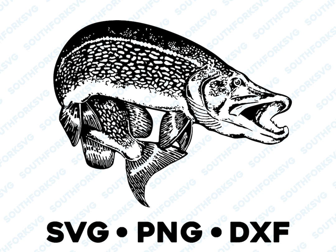 Northern Pike Musky Muskie Pickerel SVG PNG DXF Vector Transparent ...
