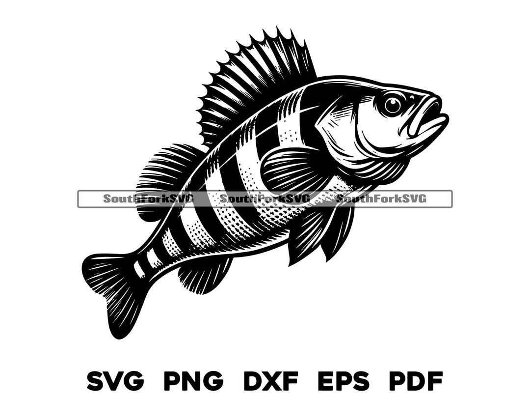 Perch Vector Design 2 | Svg Png Dxf Eps Pdf | Transparent Vector ...