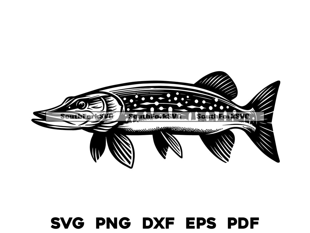 Northern Pike Design | Svg Png Dxf Eps Pdf | Transparent Vector Graphic ...