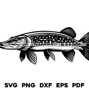 Northern Pike Design | Svg Png Dxf Eps Pdf | Transparent Vector Graphic ...