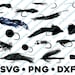 Fly Fishing Pattern Lure SVG PNG DXF Laser Bundle Dry Nymph Streamer ...