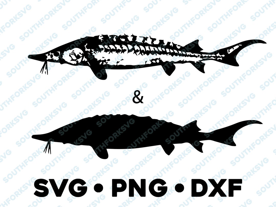Sturgeon Lake Atlantic Common SVG PNG DXF Vector Transparent Cameo ...