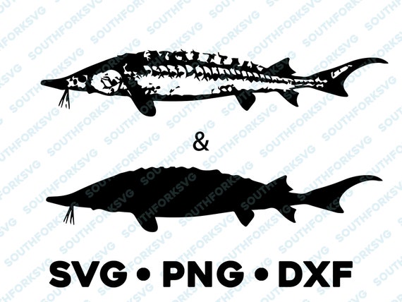 Sturgeon Lake Atlantic Common SVG PNG DXF Vector Transparent - Etsy