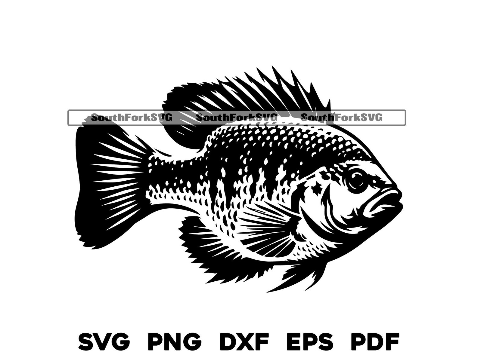 Bluegill Panfish Sunfish Svg Png Dxf Eps Pdf Transparent Vector Graphic ...