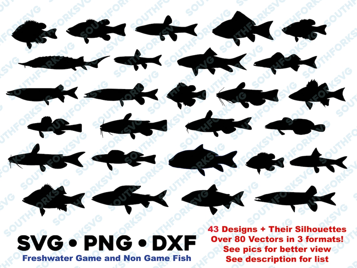 Freshwater Game & Non Game Fish Silhouettes Mega Bundle SVG - Etsy