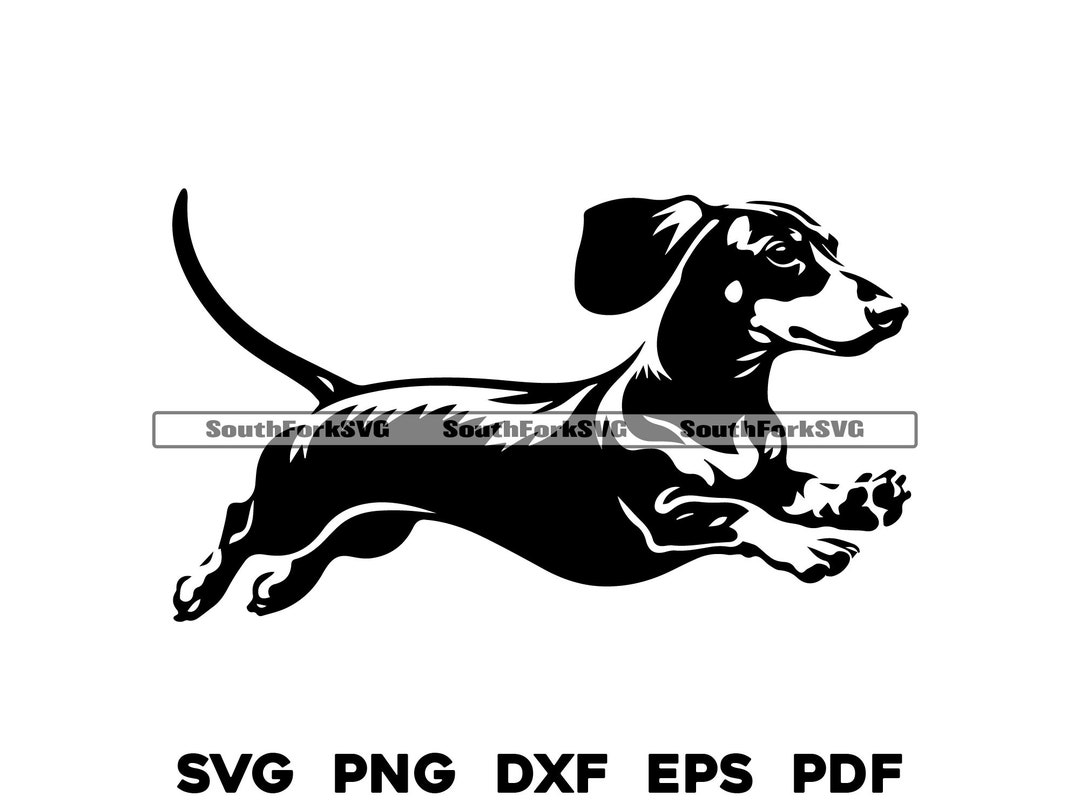 Dachshund Weiner Dog Jumping | Svg Png Dxf Eps Pdf Vector Graphic Cut ...