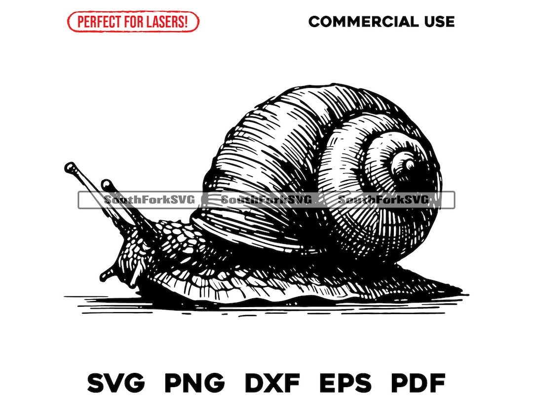 Snail Laser Engrave Files Svg Png Dxf Eps Pdf | Vector Graphic Design ...