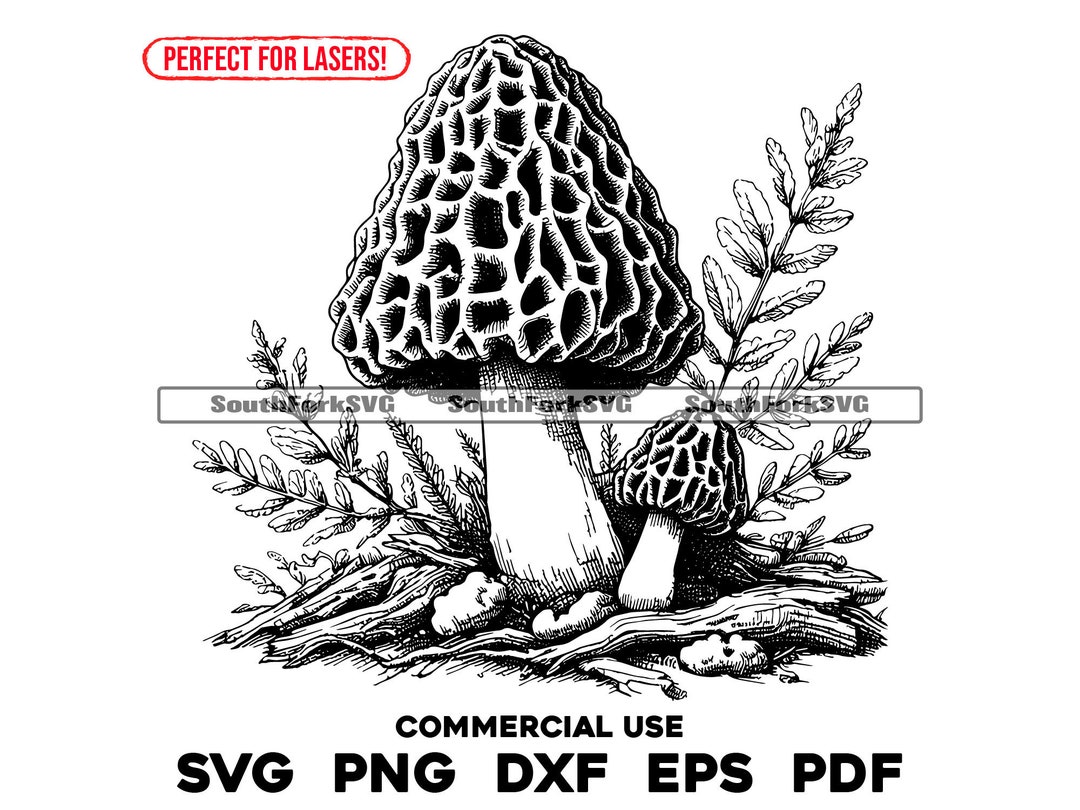 Morel Mushrooms Laser Engrave Files Svg Png Dxf Eps Pdf | Vector ...
