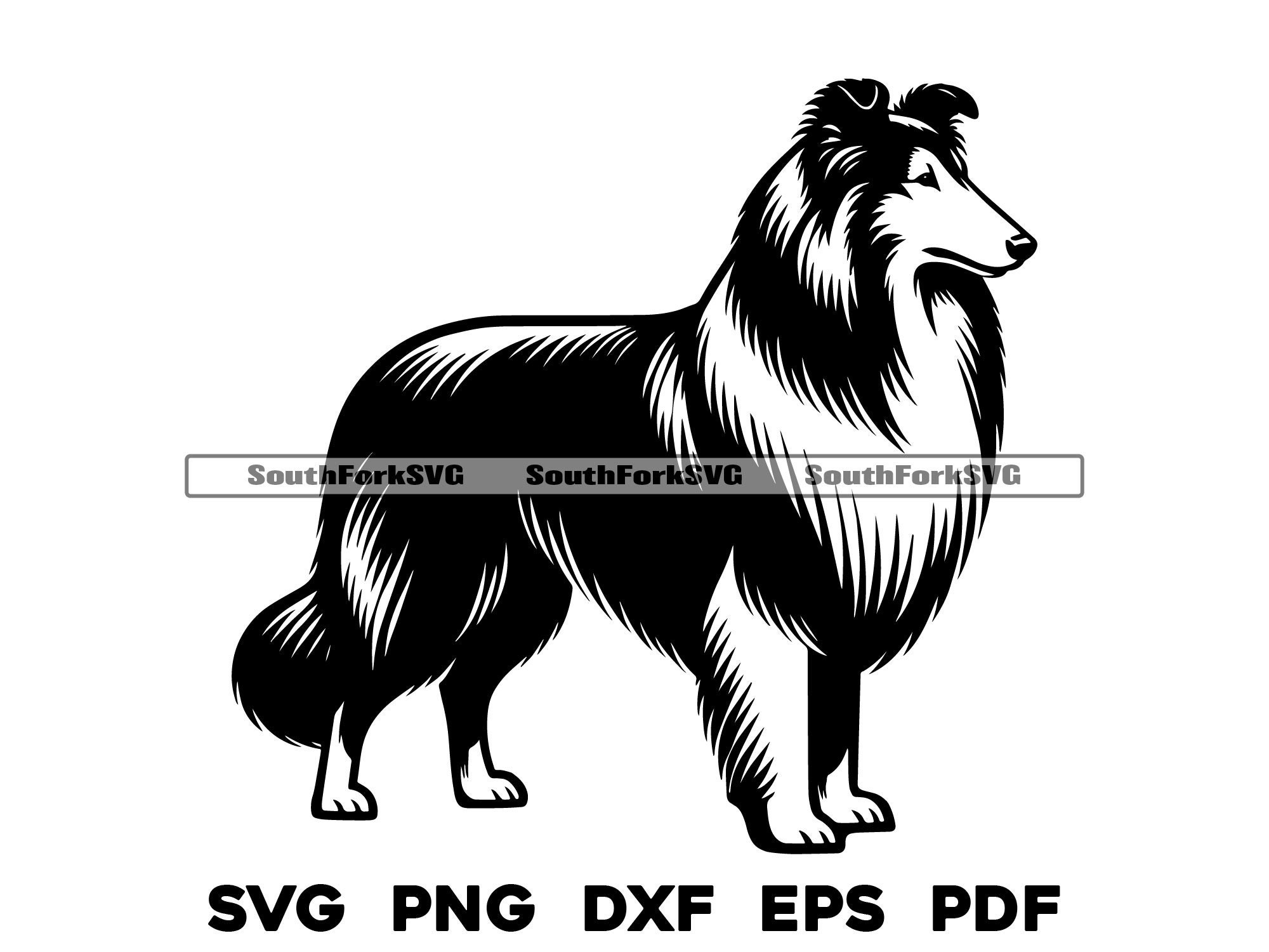 Collie Dog Standing Design Svg Png Dxf Eps Pdf Vector - Etsy