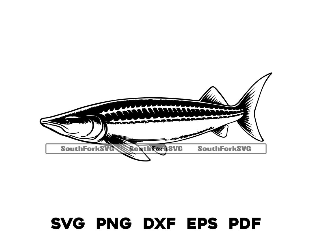 Sturgeon Fish Design Svg Png Dxf Eps Pdf Laser Engrave Cut Print Files ...