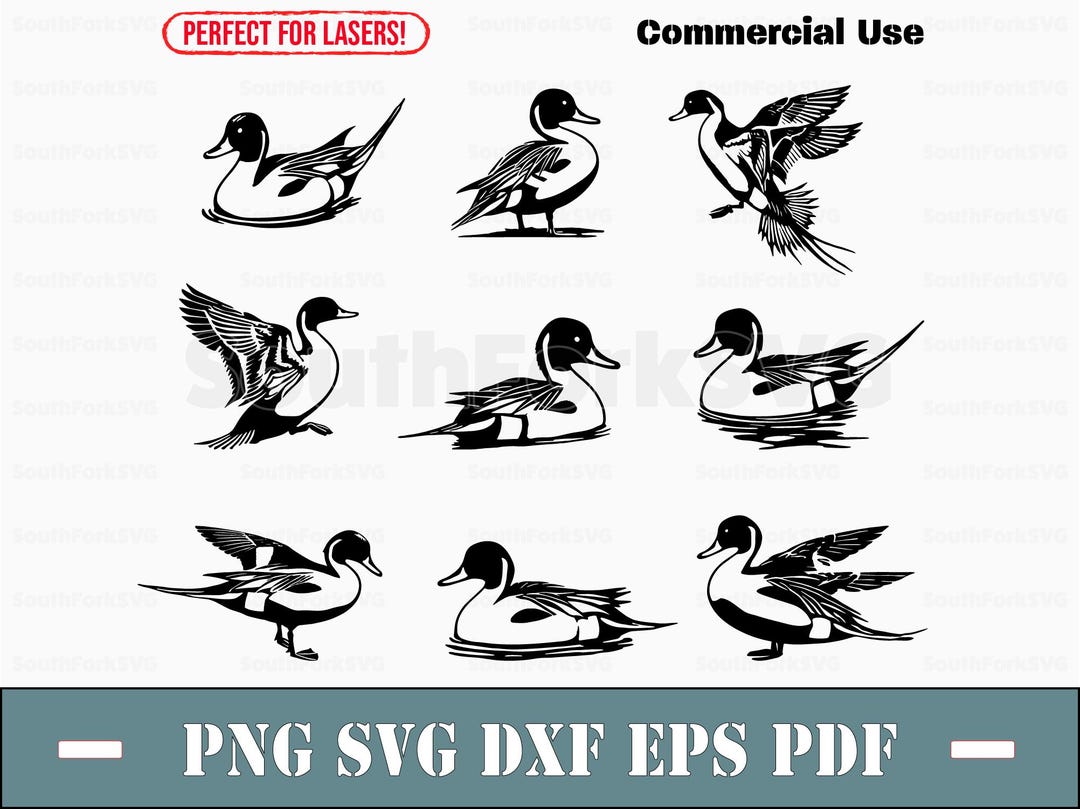 Simple Pintail Duck SVG Bundle Svg Png Dxf Eps Pdf | Vector Graphic ...