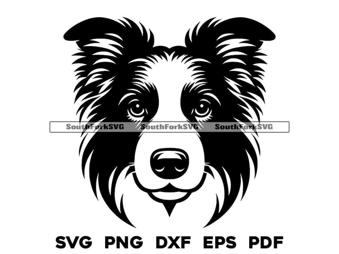 Border Collie Dog Head Design | Svg Png Dxf Eps Pdf | Vector Graphic ...