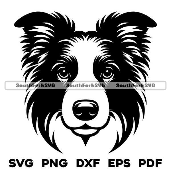 Border Collie Svg - Etsy
