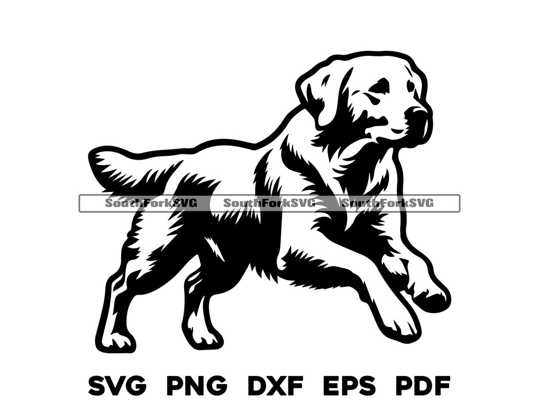 Labrador Retriever Dog Running Design Svg Png Dxf Eps Pdf | Vector ...