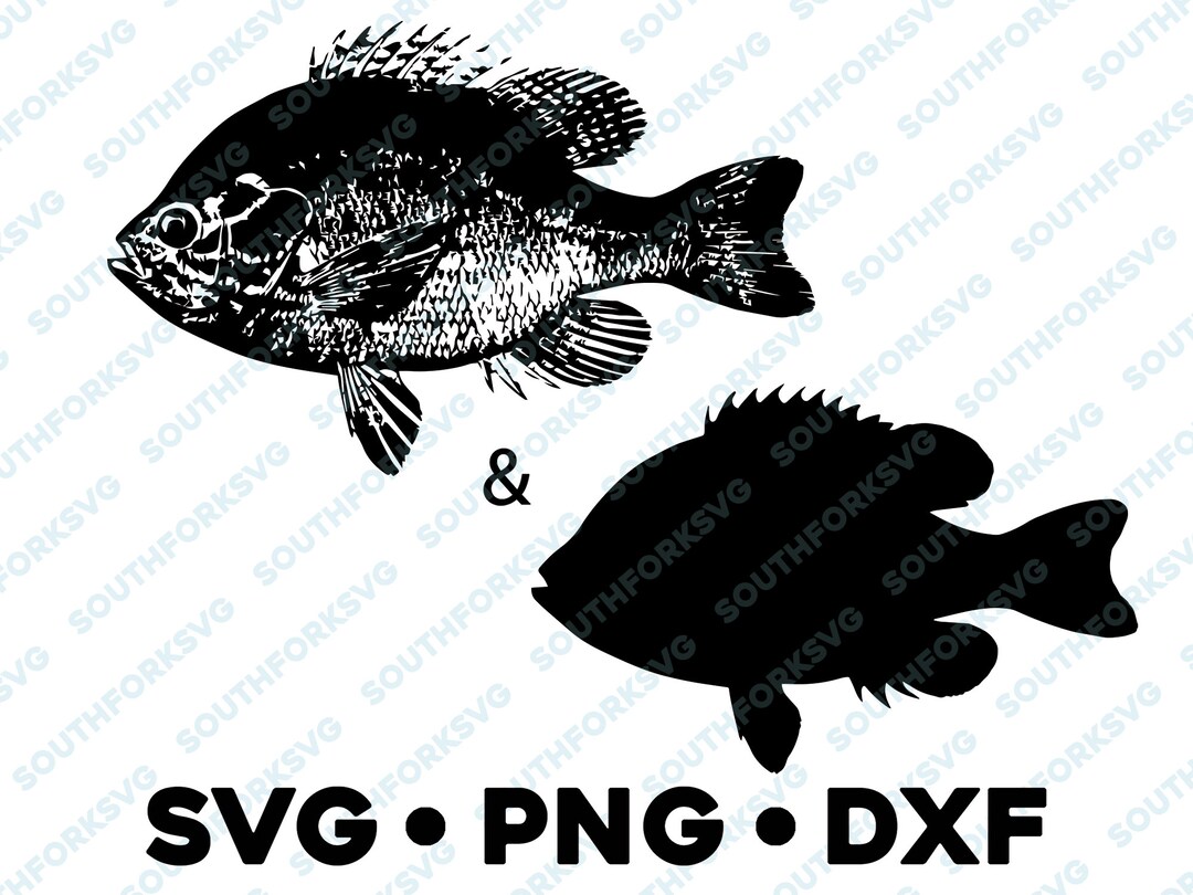 Bluegill Panfish Sunfish Bass SVG PNG DXF Vector Transparent Silhouette ...