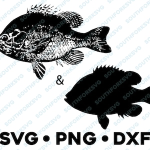 Bluegill Panfish Sunfish Bass SVG PNG DXF Vector Transparent Silhouette ...