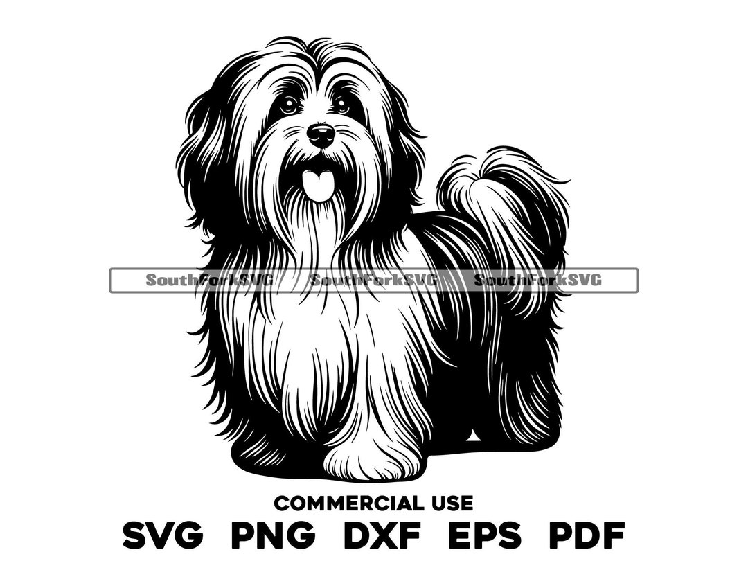 Havanese Dog Standing Design | Svg Png Dxf Eps Pdf | Vector Graphic Cut ...