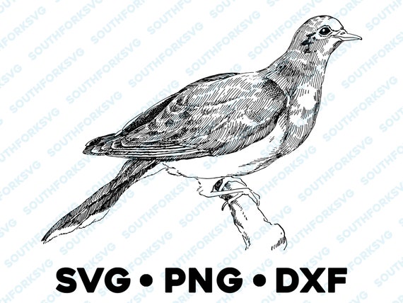 Mourning Dove SVG PNG DXF Vector Graphic Design Image Clip Art | Etsy
