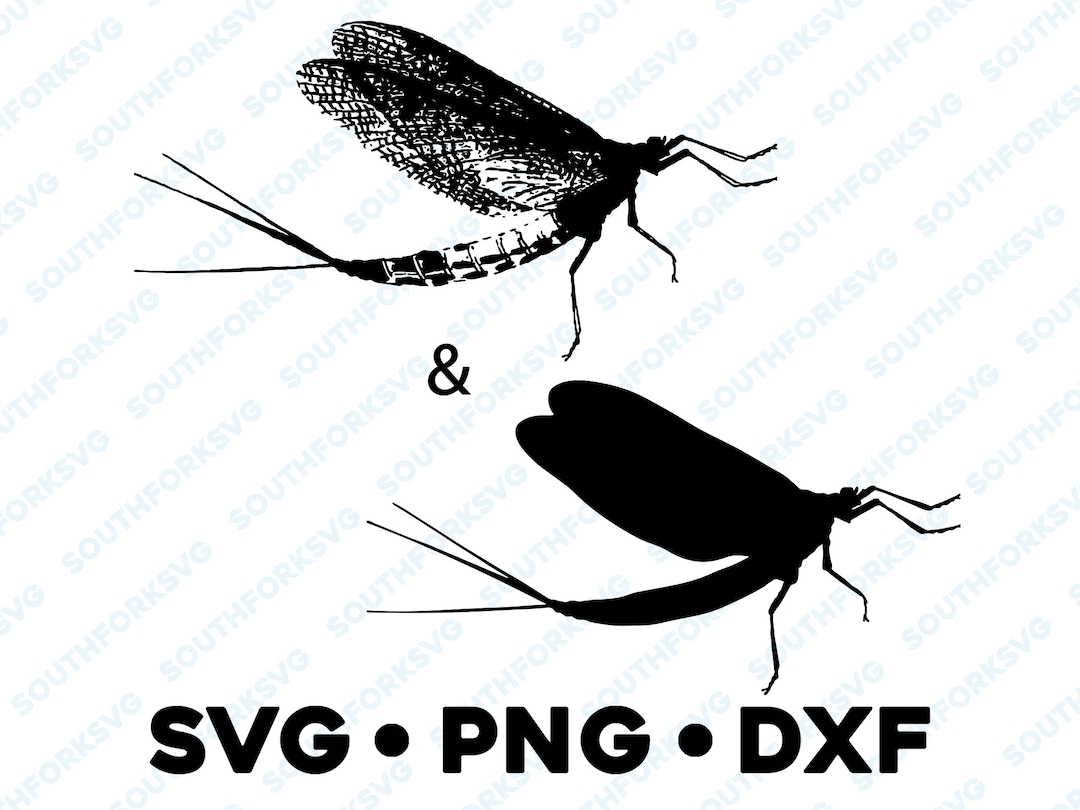 Mayfly SVG PNG DXF Vector Transparent Cameo Silhouette Cut File Saying ...