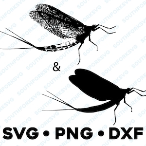 Mayfly SVG PNG DXF Vector Transparent Cameo Silhouette Cut File Saying ...