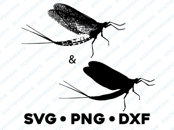 Mayfly SVG PNG DXF Vector Transparent Cricut Cameo Silhouette - Etsy