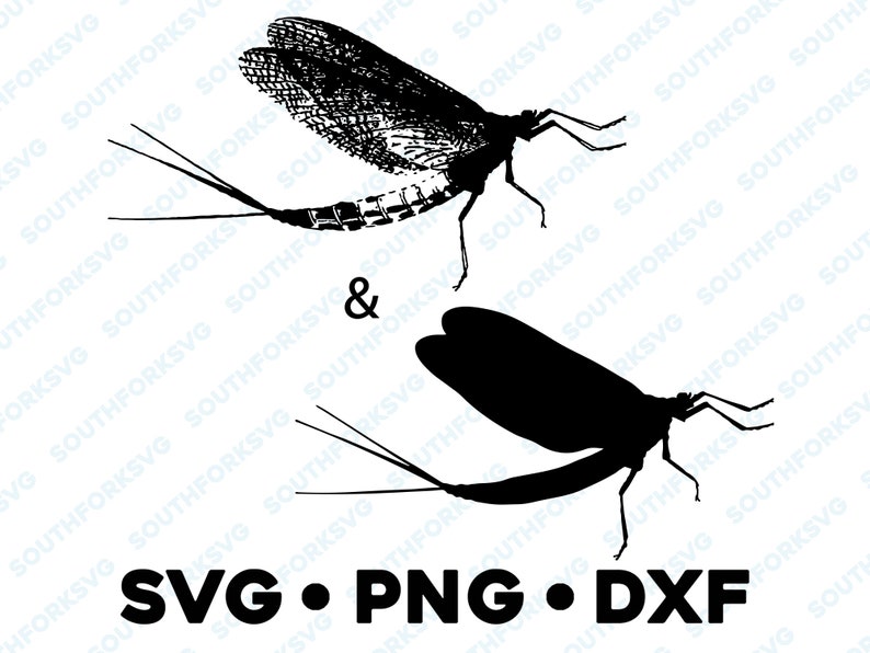 Mayfly SVG PNG DXF Vector Transparent Cameo Silhouette Cut - Etsy