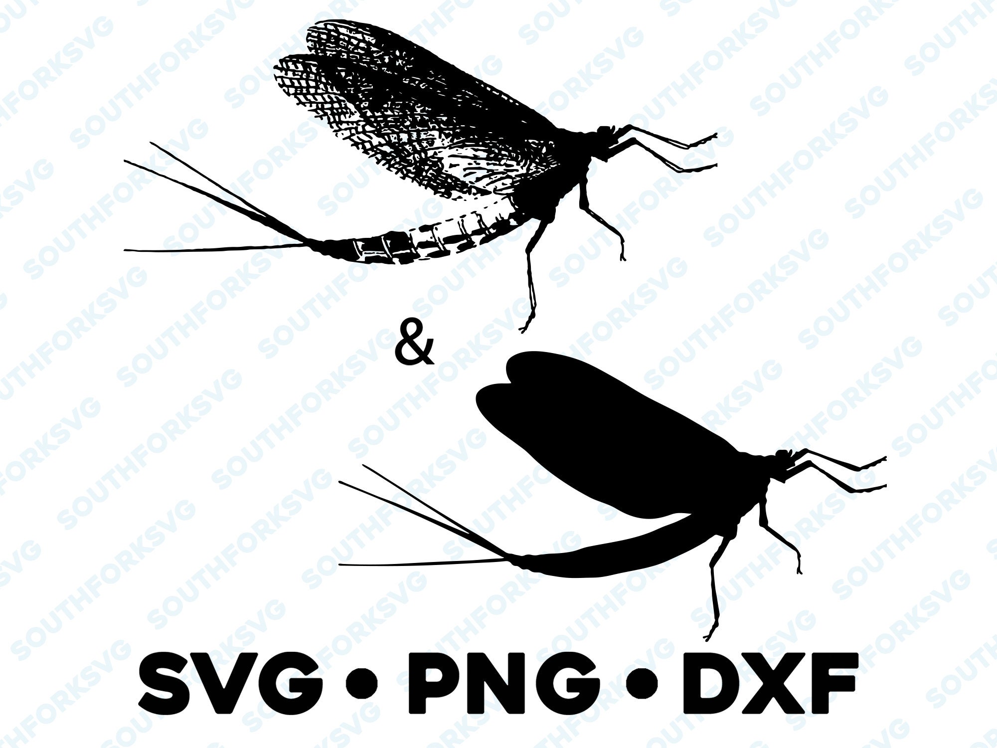 Mayfly SVG PNG DXF Vector Transparent Cameo Silhouette Cut - Etsy Australia
