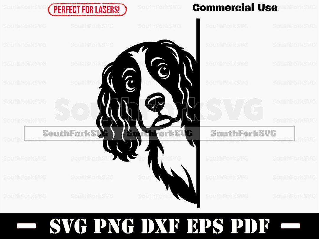 Peering English Springer Spaniel Dog Svg Png Dxf Eps Pdf | Vector ...