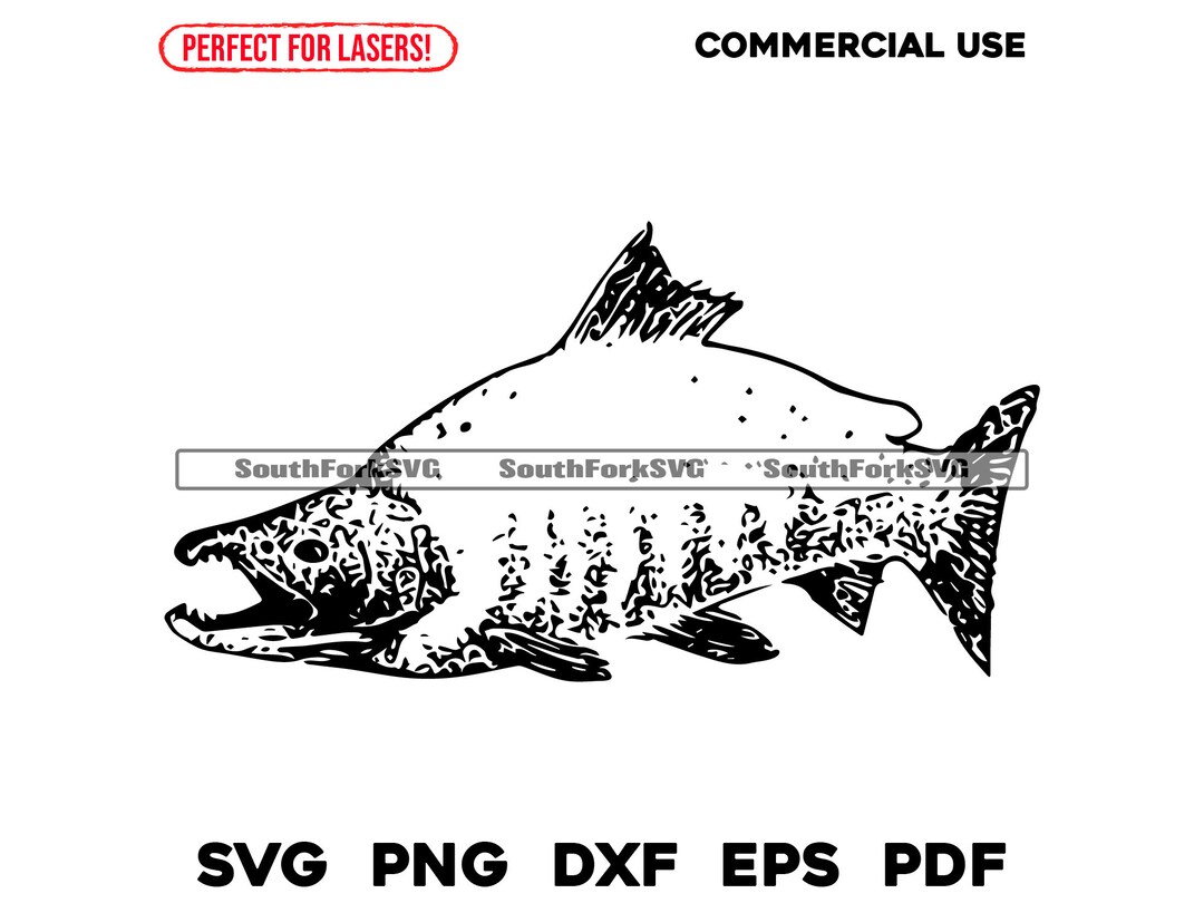 Laser Engrave Salmon Svg Png Dxf Eps Pdf Transparent Vector Graphic ...