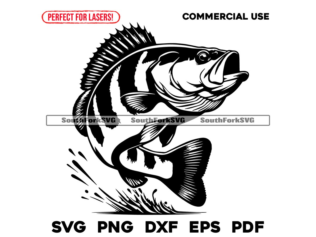 Perch Fish Svg Png Dxf Eps Pdf | Transparent Vector Graphic Design Cut ...