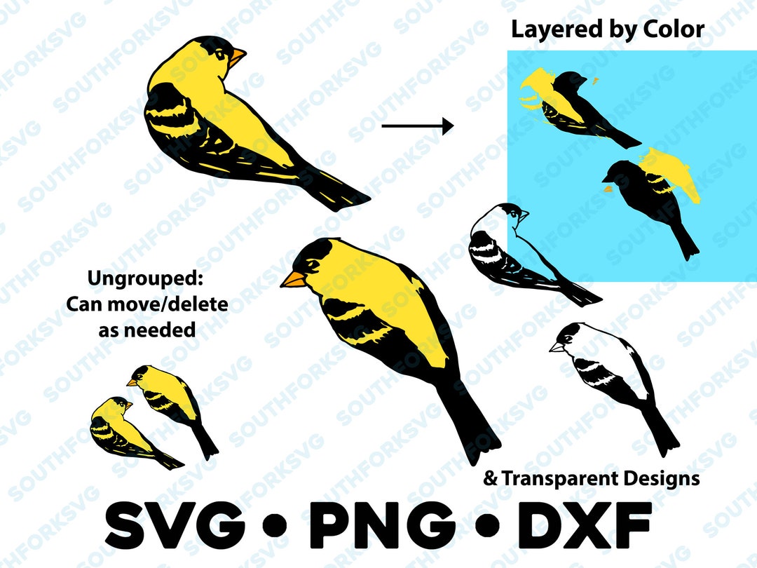 Gold Finch Birds SVG PNG DXF Layered by Color Cut File Image Robin ...
