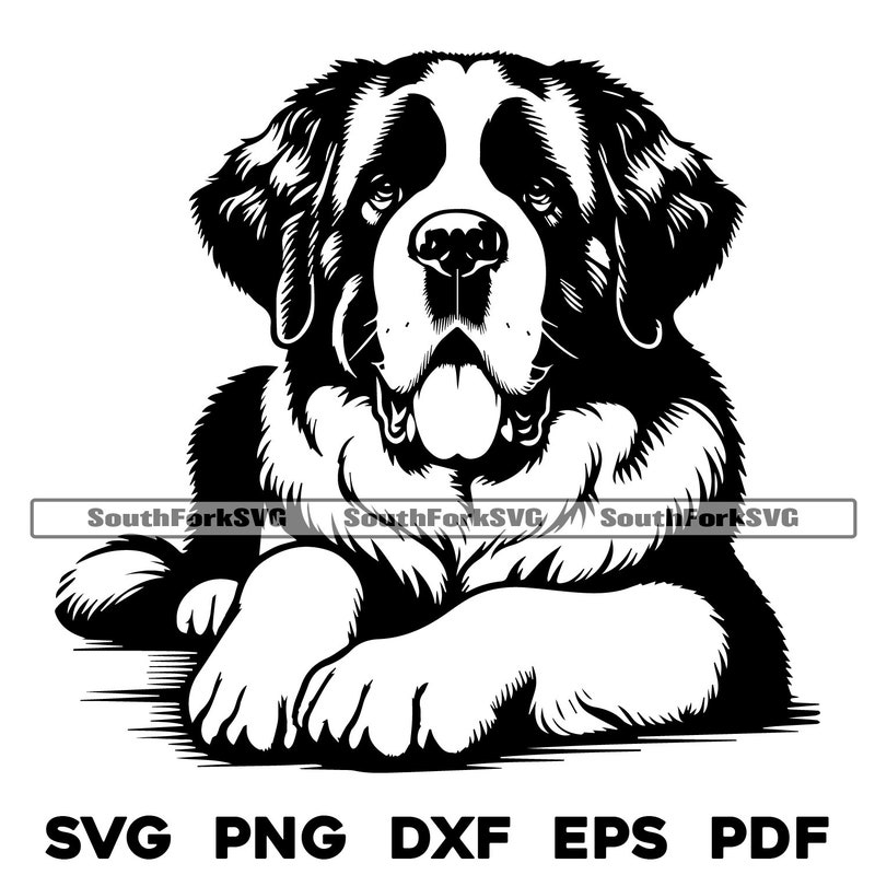 Saint Bernard Dog Art - Etsy