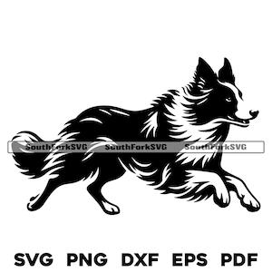 Border Collie Running Design Svg Png Dxf Eps Pdf | Vector Graphic Cut ...